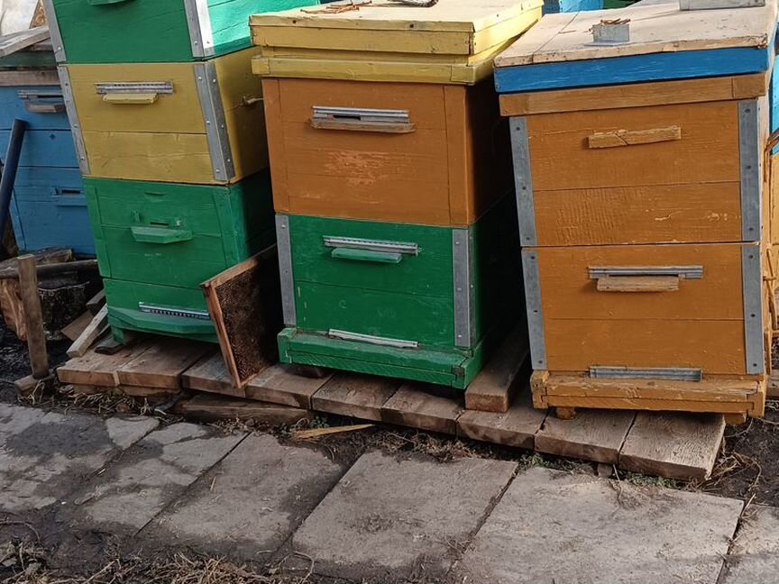 Пчелиные улья