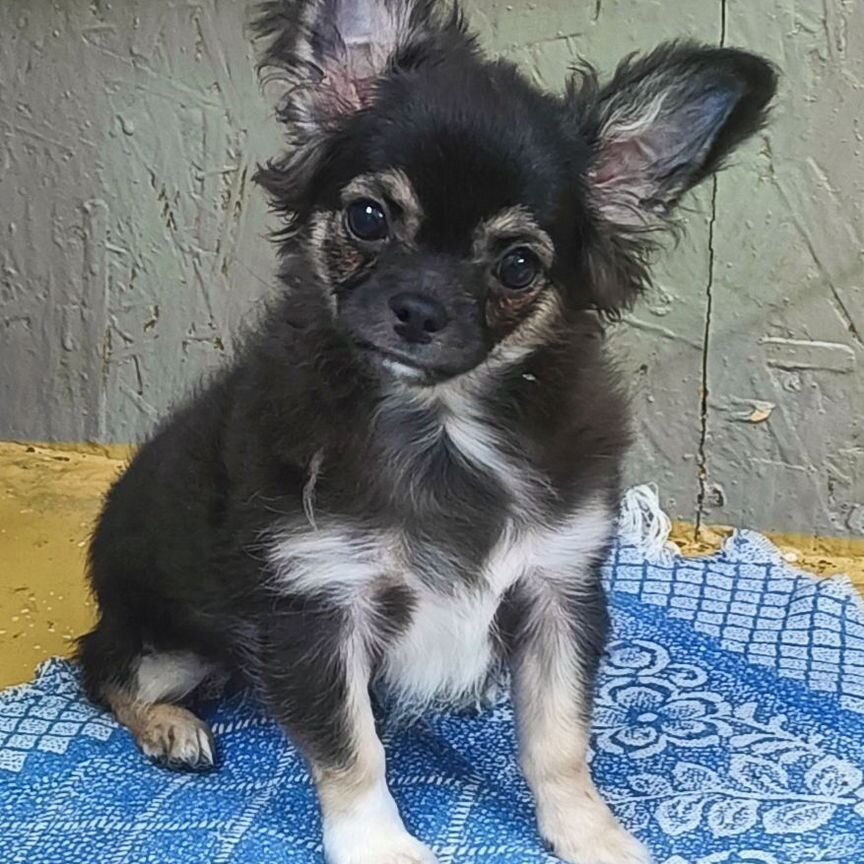 Мальчик красавчик ждёт свою семью