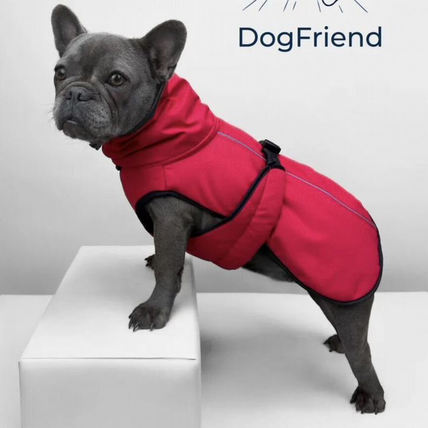 Попона для собак