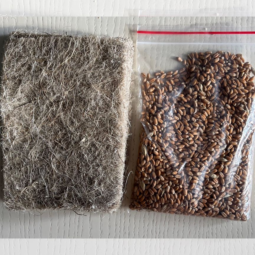 Трава для кошек бесплатная доставка