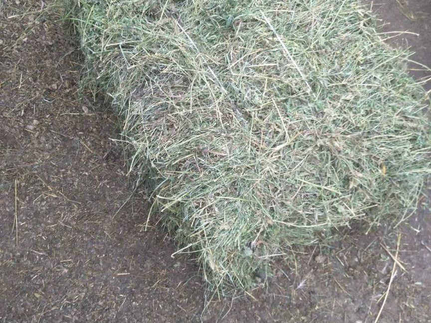 Сено с доставкой