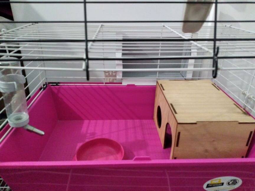Клетка для грызунов