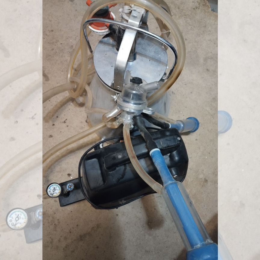 Доильный аппарат для коз бу