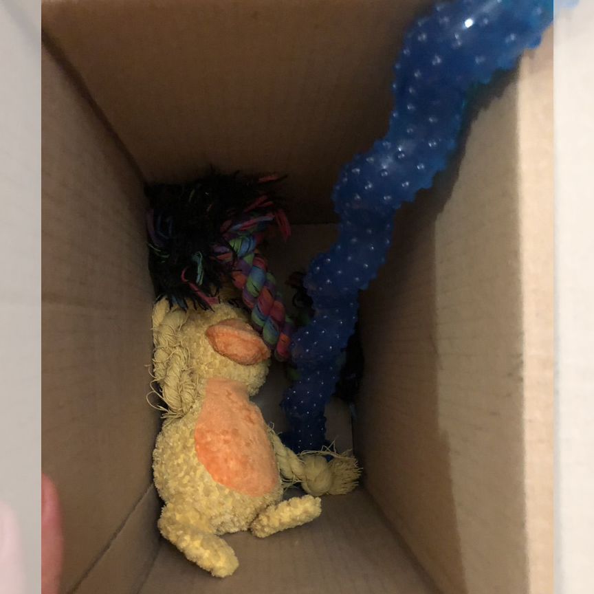 Собачьи игрушки б/у