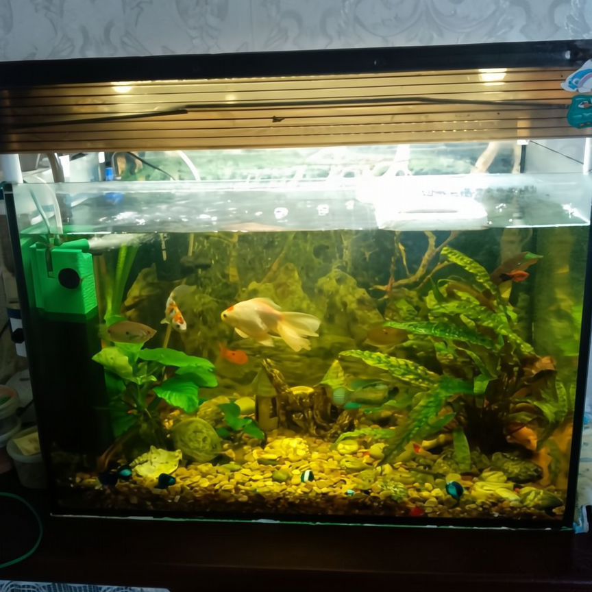 Аквариум 100литров