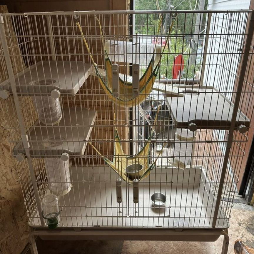 Клека для животных