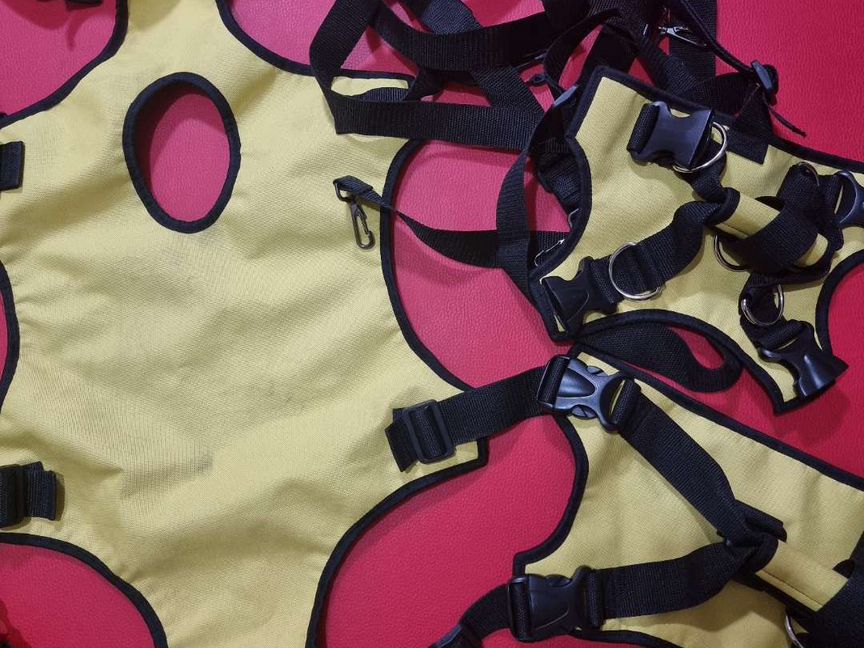 Шлейка-ходунки для собак