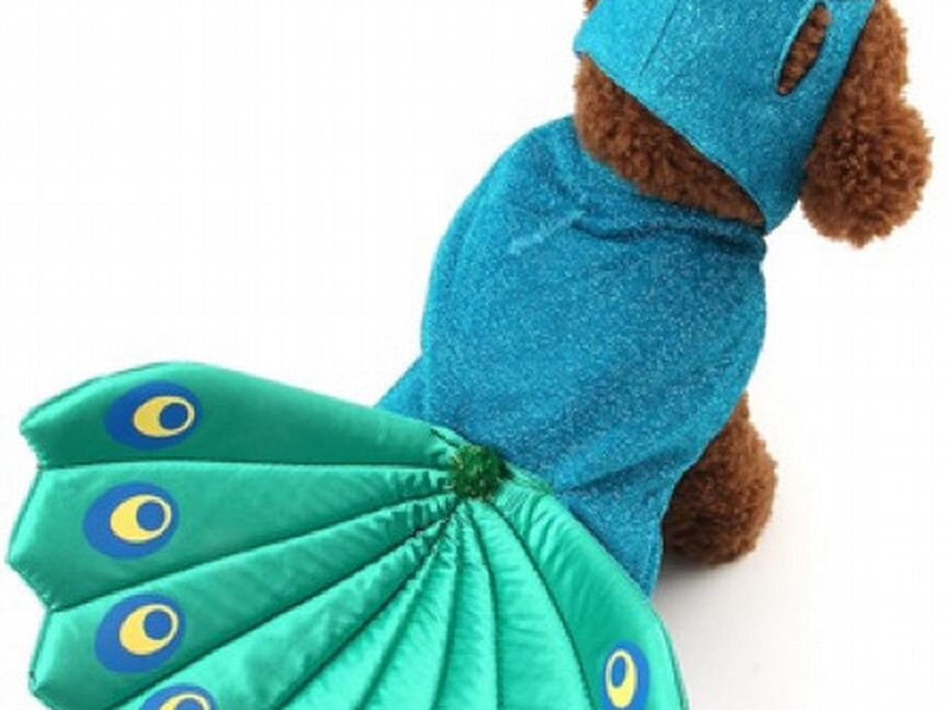 Костюм павлин для собак кошек животных