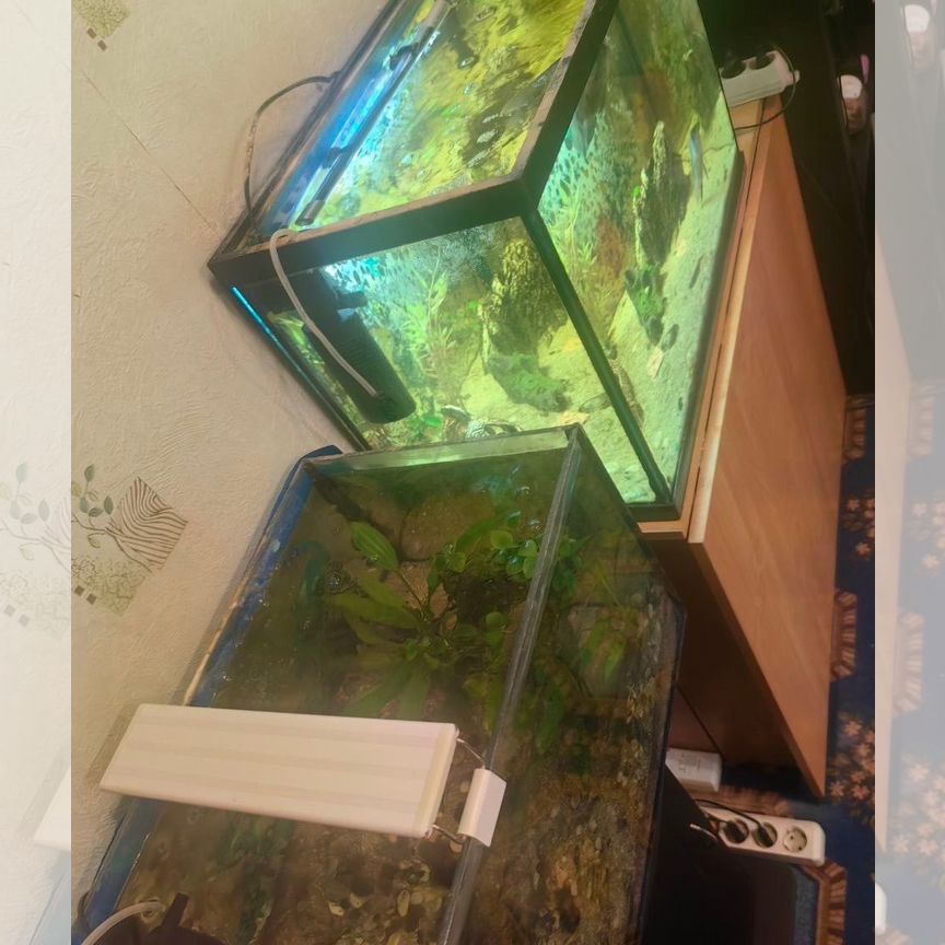 Аквариумы 40 литров и 80 литров с рыбами