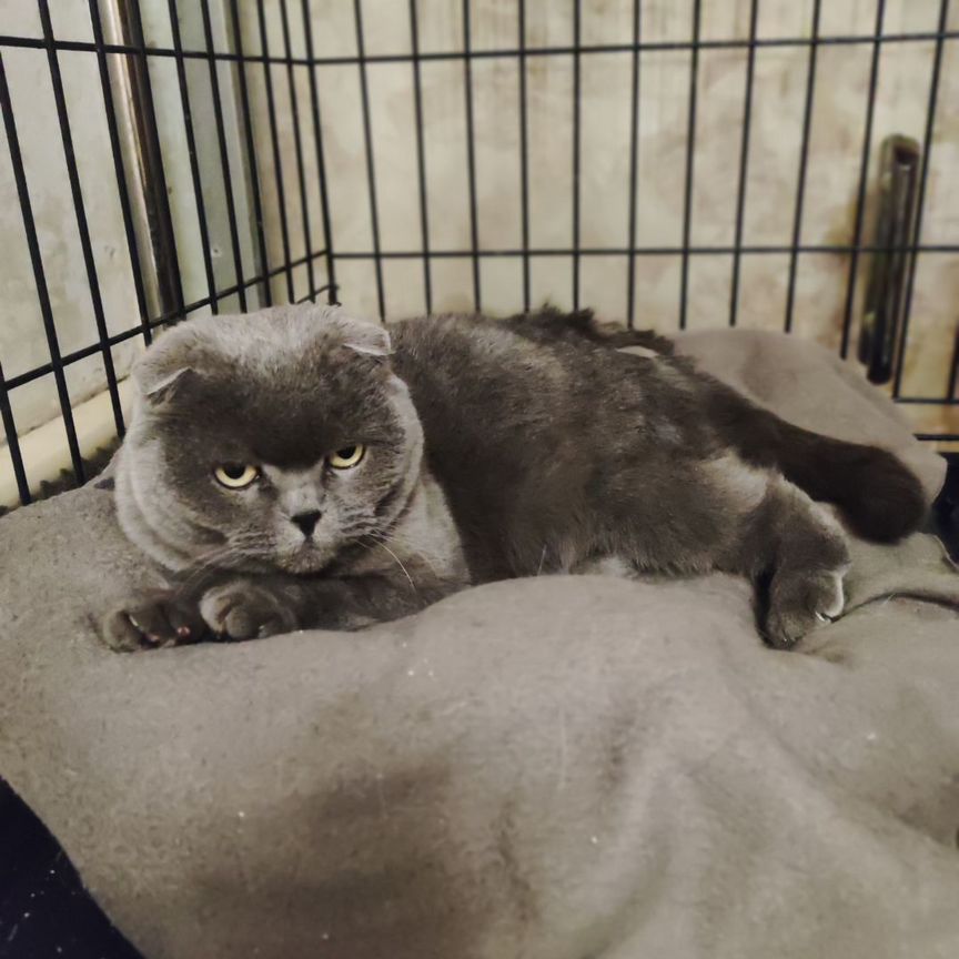 Девочка Соня