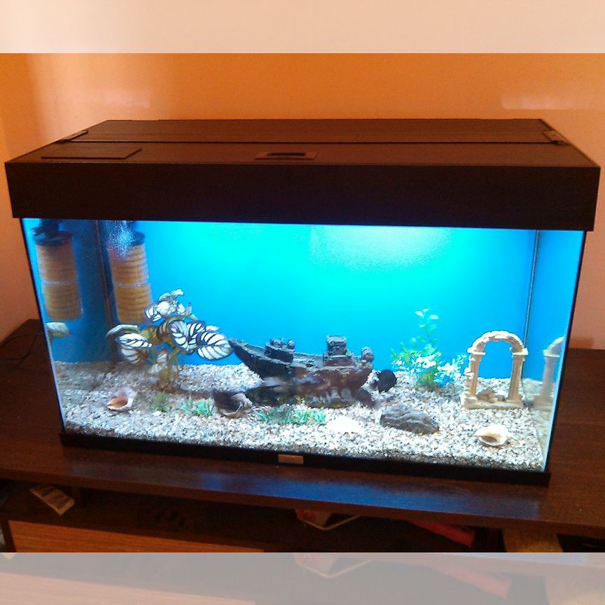 Немецкий аквариум "Juwel" 120L.Рыбы декор фильтр о