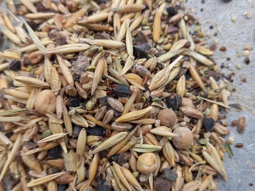 Корм-дробленка