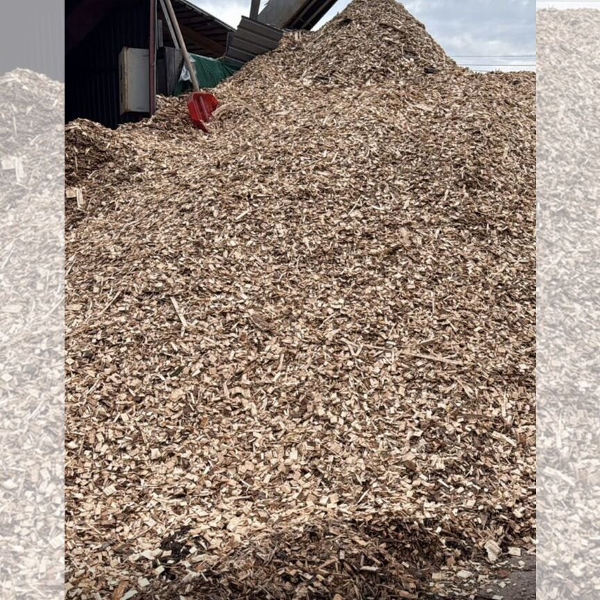 Щепа хвойная