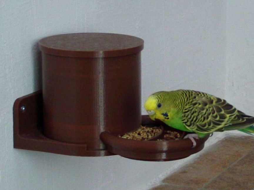 Автокормушка для птиц, попугаев