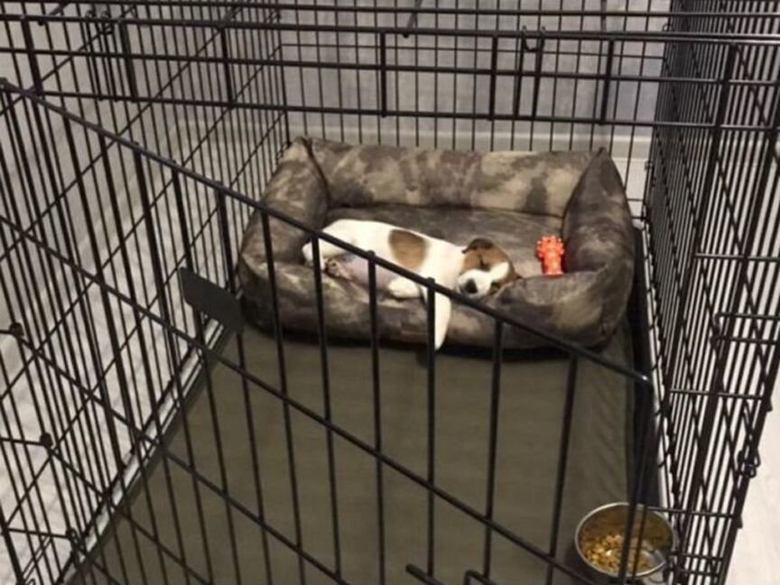 Клетка вольер для собак №4 93*67*71 см