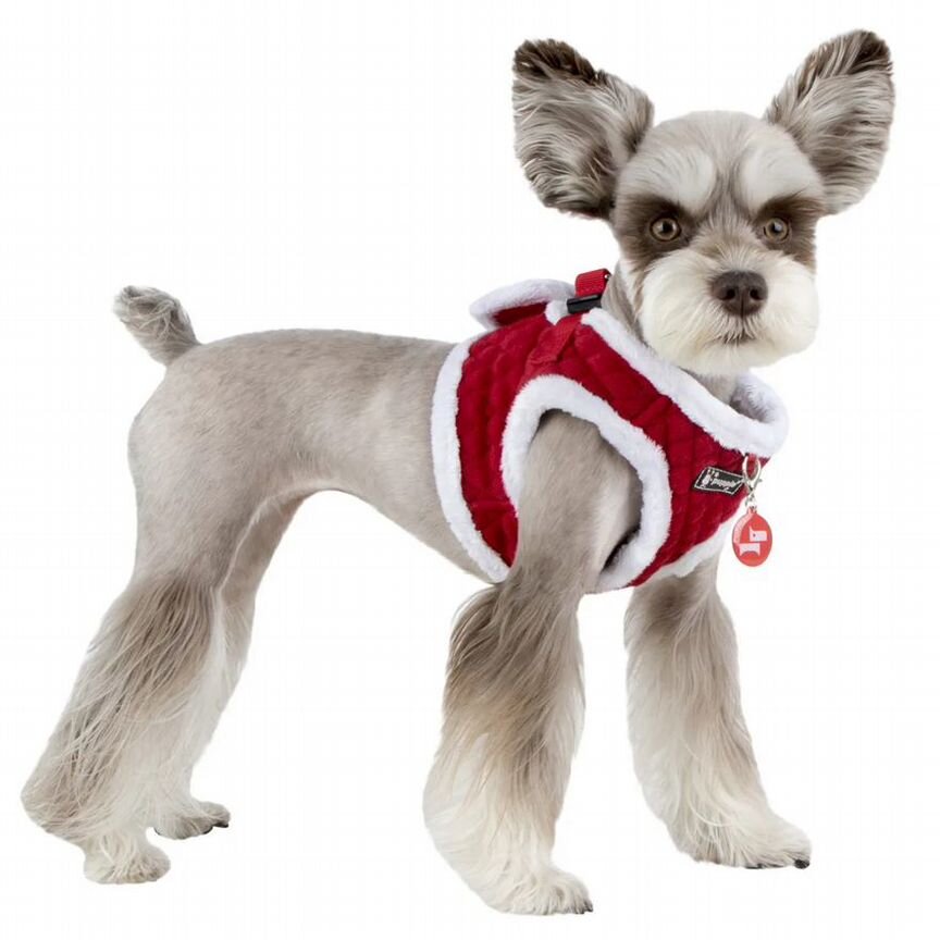 Шлейка утепленная Puppia Blitzen S, красная