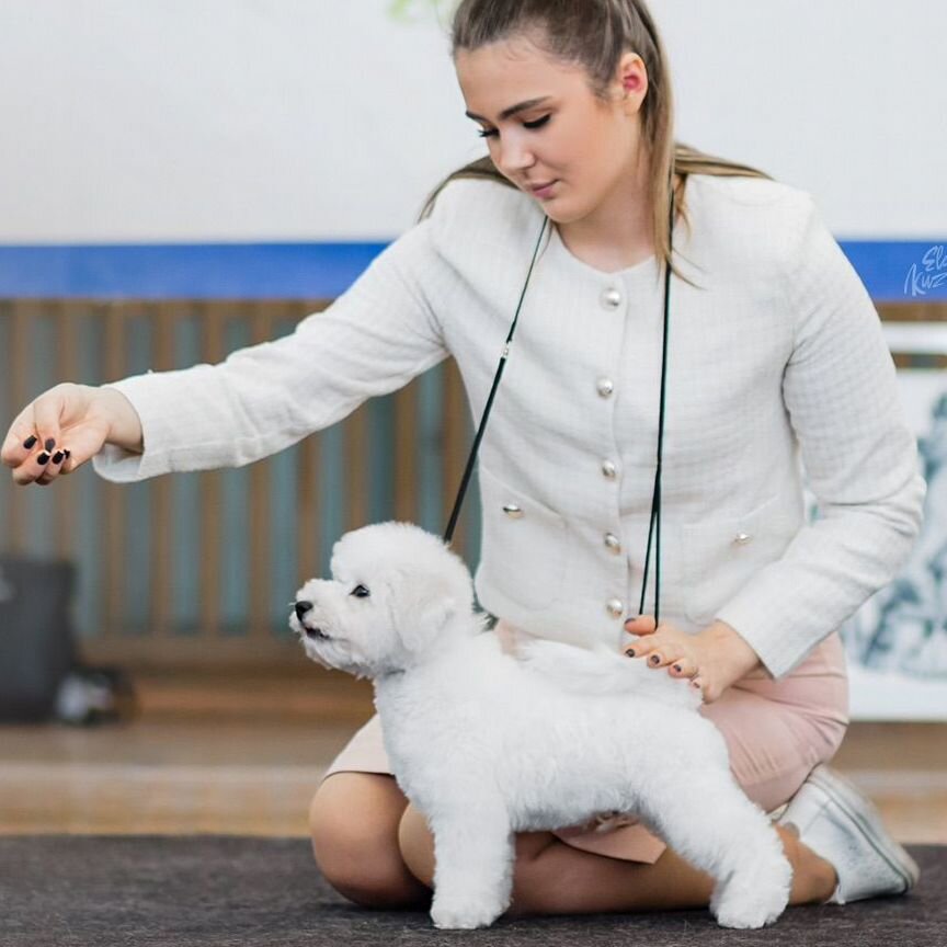 Мальчик Шоу Класса