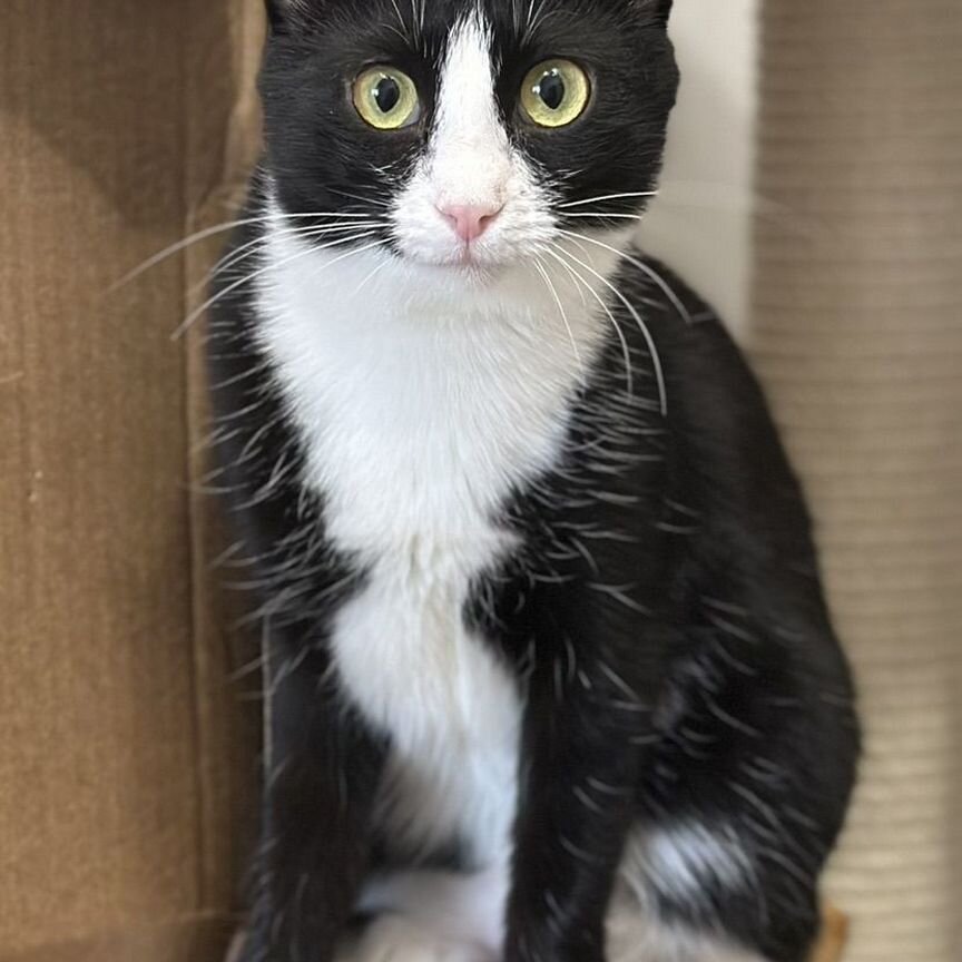 Максим в самые заботливые руки