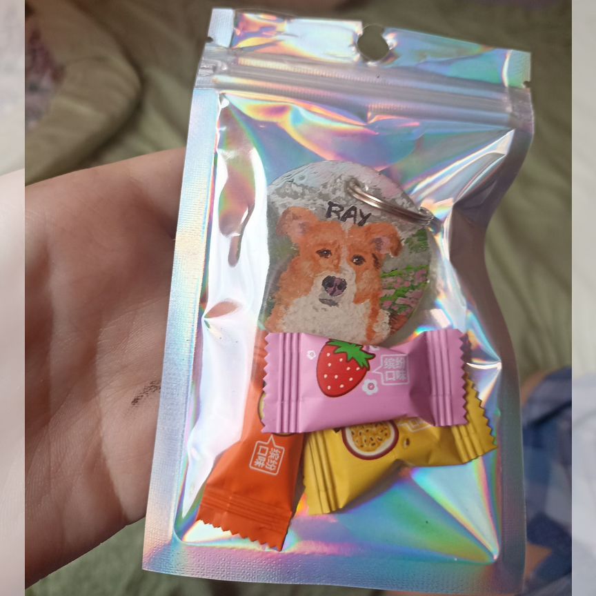 Адресники для собак