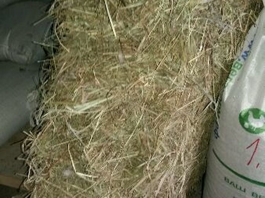 Сено кормовое : овёс и вика