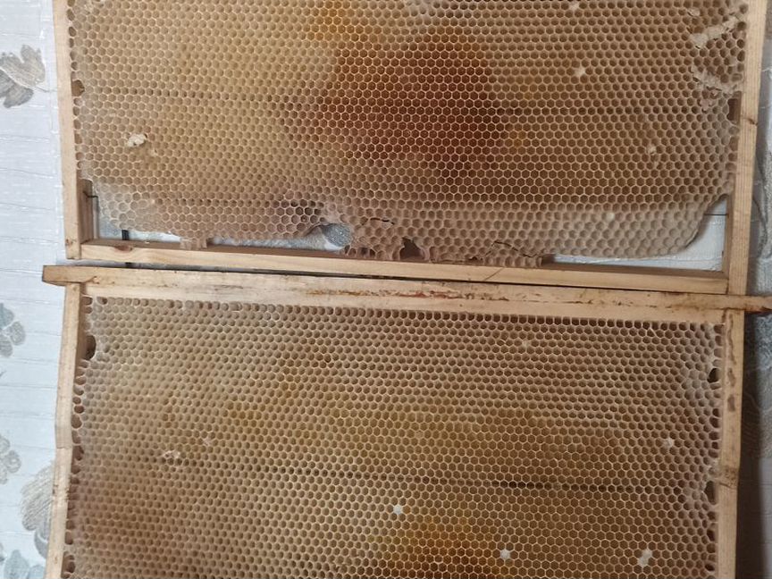 Рамки сушь "Дадан" для пчеловодства