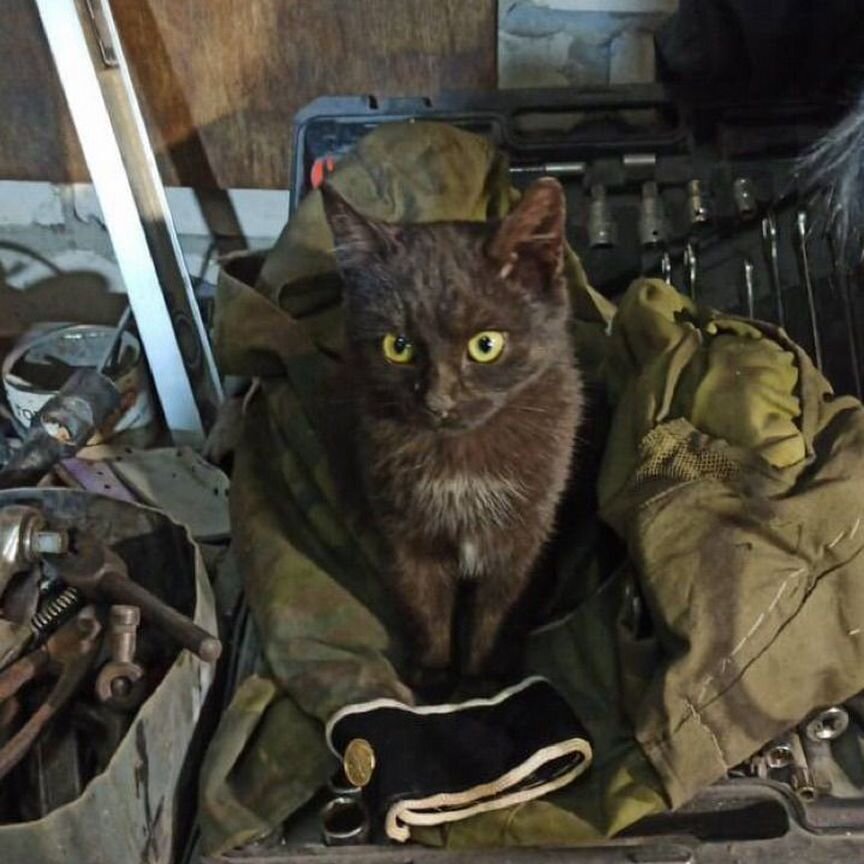 Она живёт в гараже, ей нужен дом