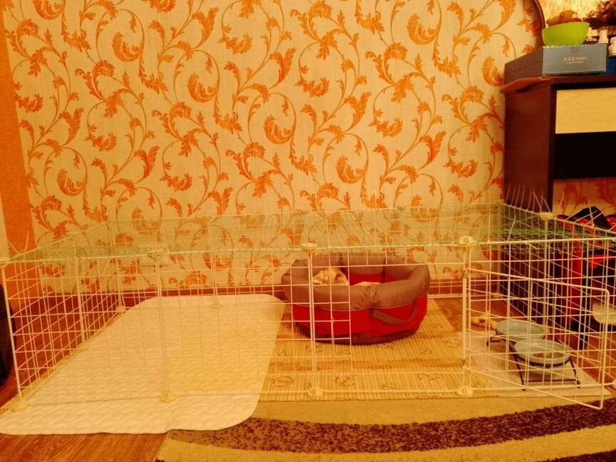 Вальйер для щенков