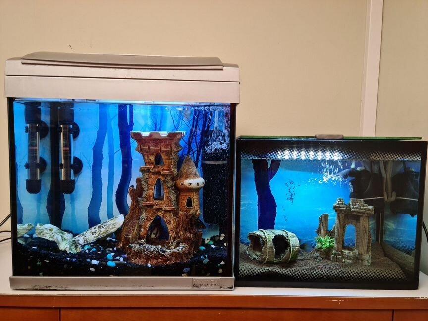 Аквариумы с рыбками