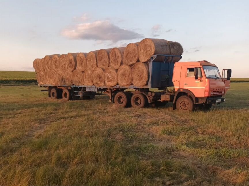 Сено в рулонах луговое и степное 2023 года