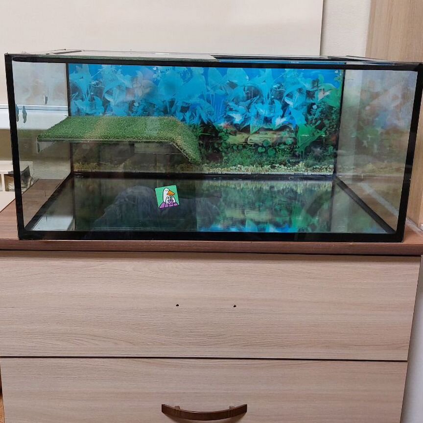 Аквариум для красноухой черепахи