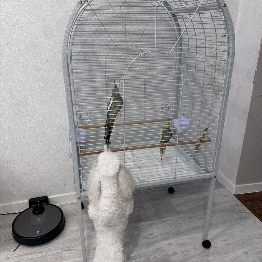 Клетка для попугая бу
