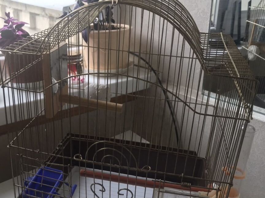 Клетка для попугая
