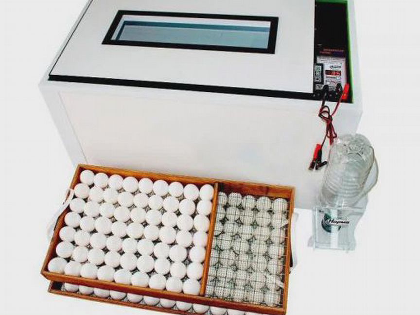 Инкубатор Блиц Норма Урал на 200 яиц