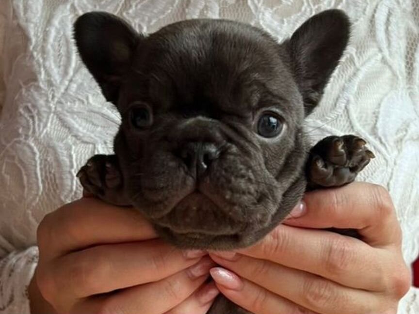 Нежнее нежного невероятная девочка