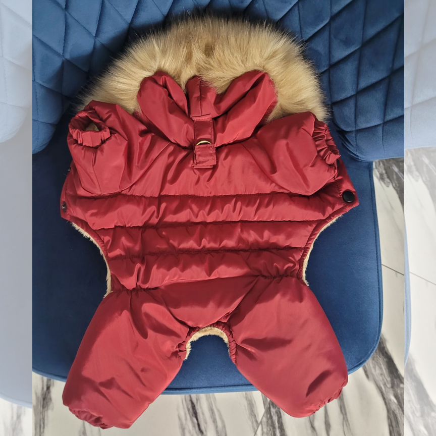 Зимний комбинезон для маленькой собаки