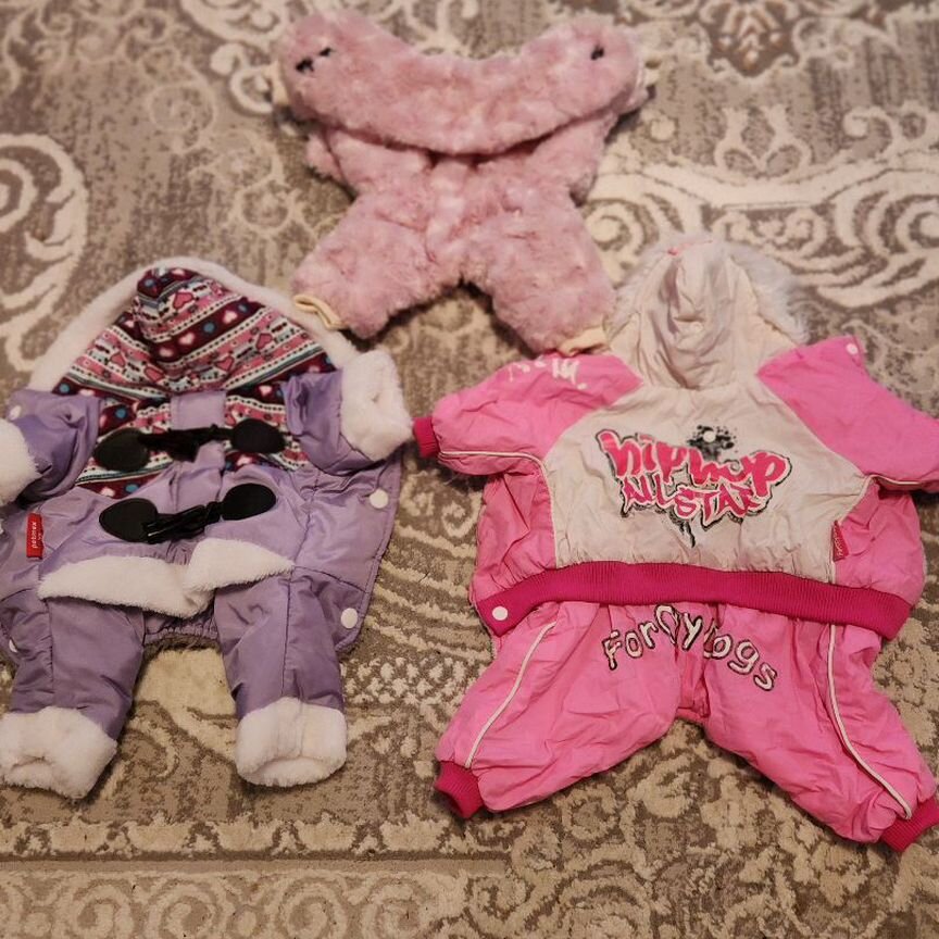 Одежда для маленьких собак