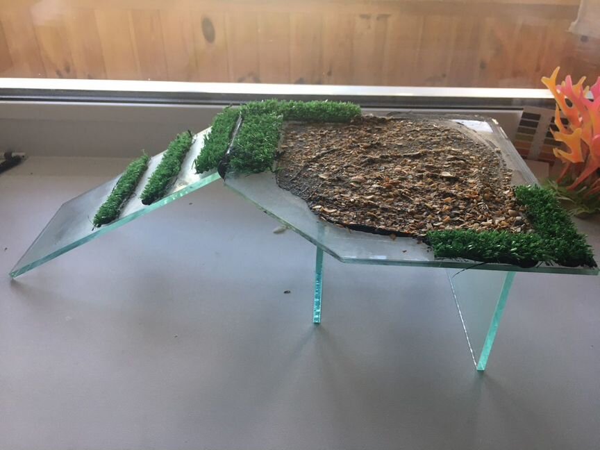 Мостик для черепахи