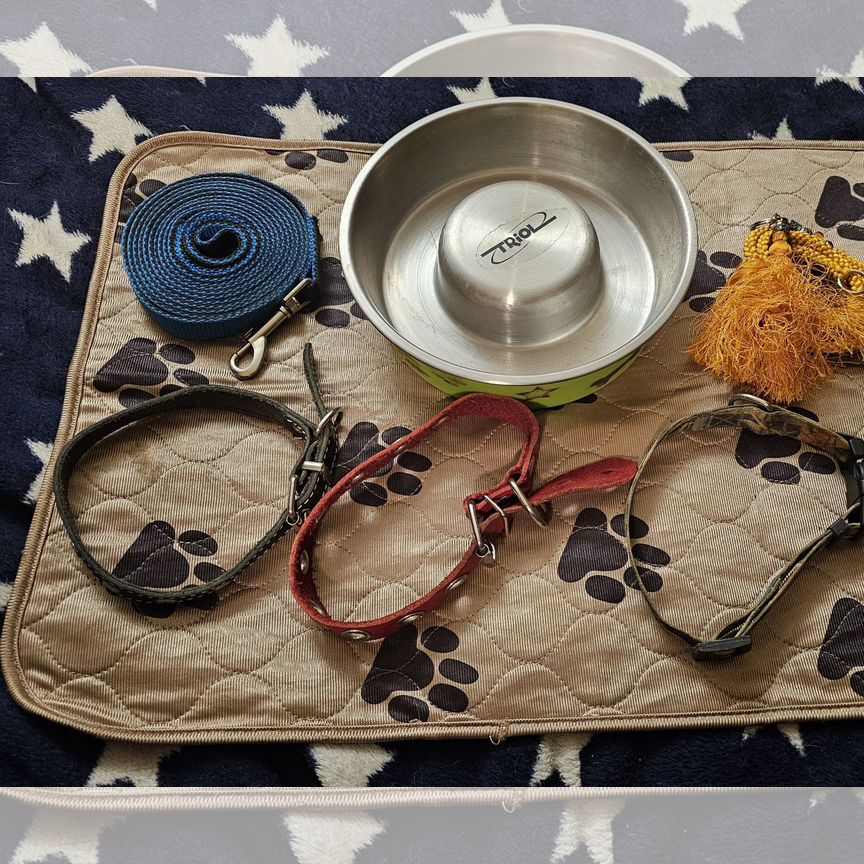 Товары для собак