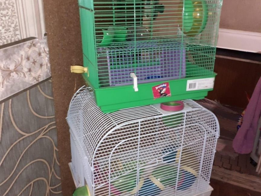 Клетка для мелких грызунов