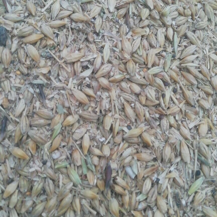 Ячменые отходы