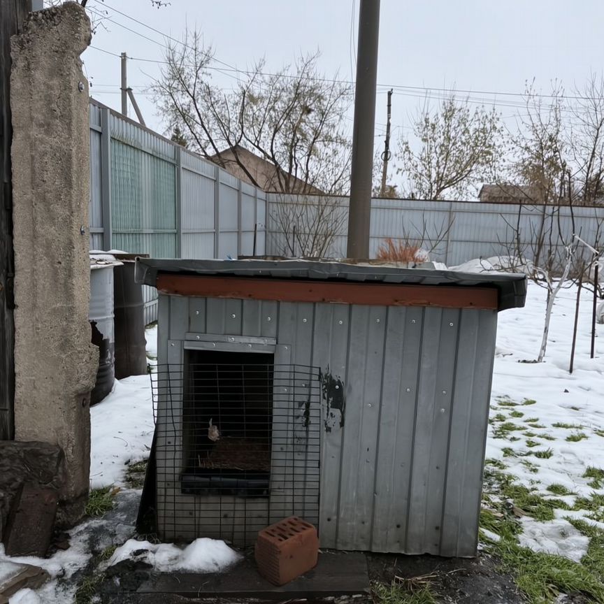Будка для собаки утепленная