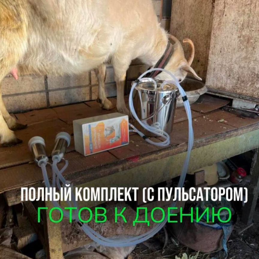 Доильный аппарат для коз в рассрочку
