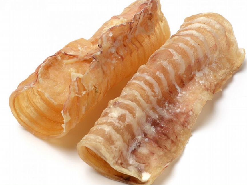 Лакомства для собак