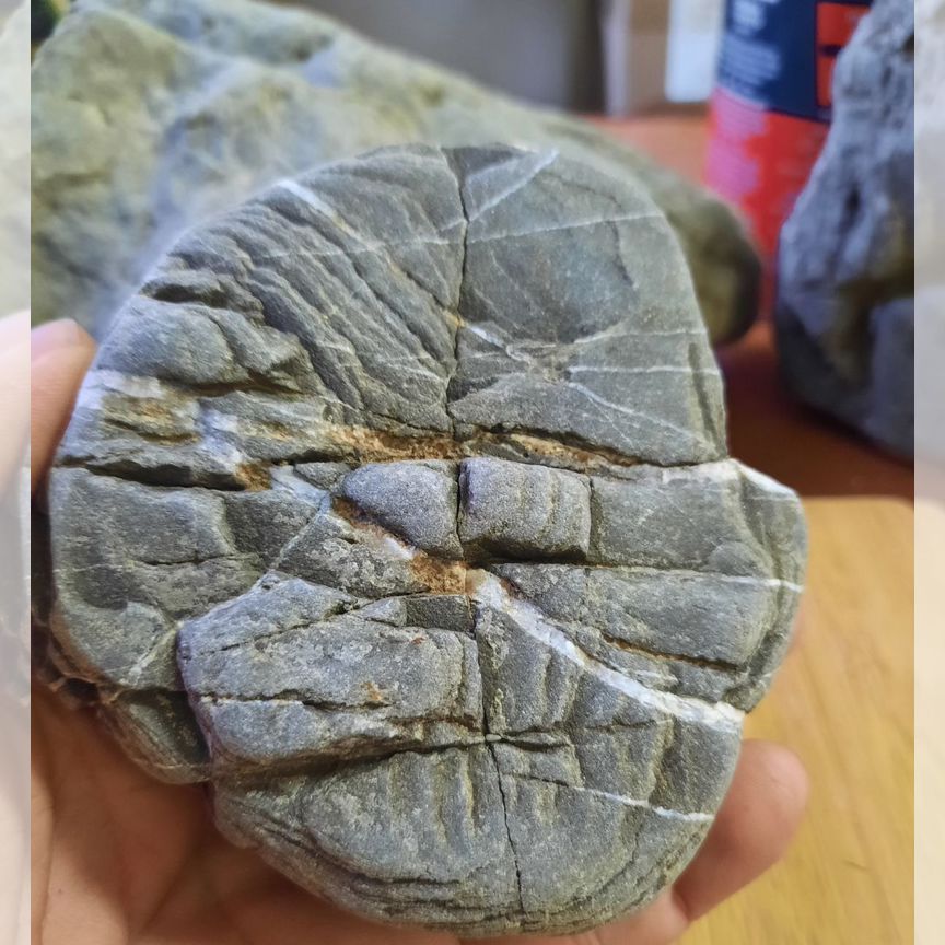 Камень для аквариума серая гора