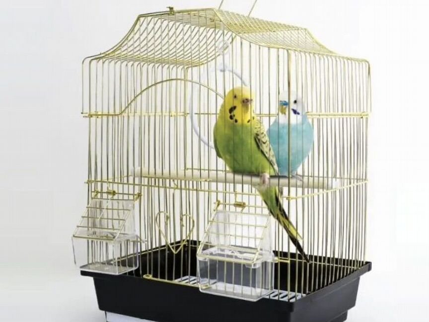Клетка для попугаев и мелких птиц