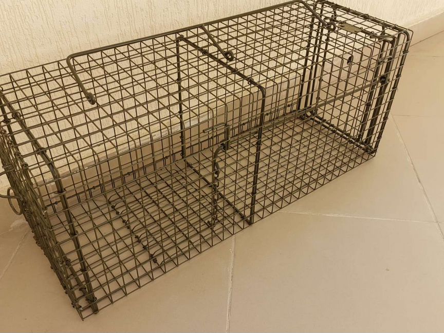 Котоловка