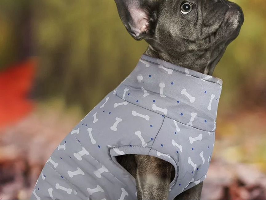 Жилетка для собак