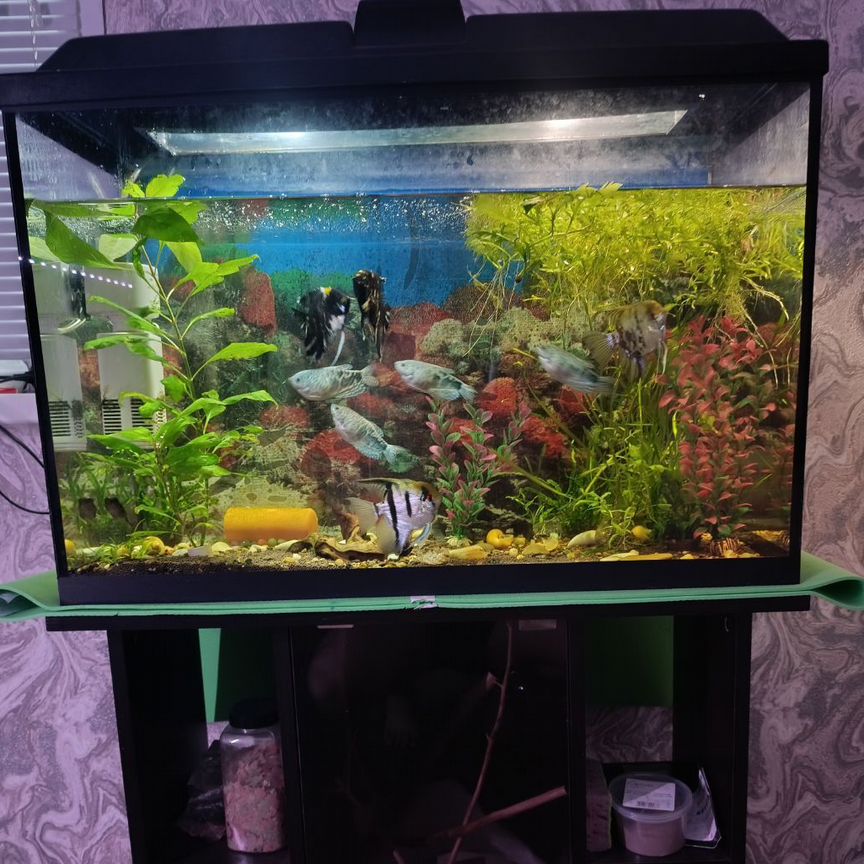 Аквариум с тумбой 120 литров