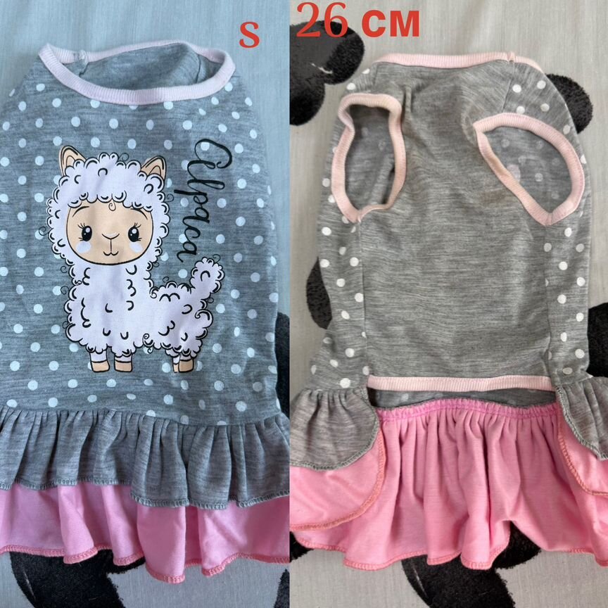 Одежда для животных