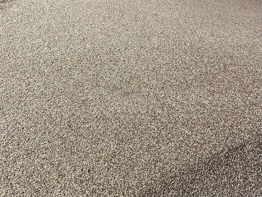 Суржа(пшеница+ячмень)